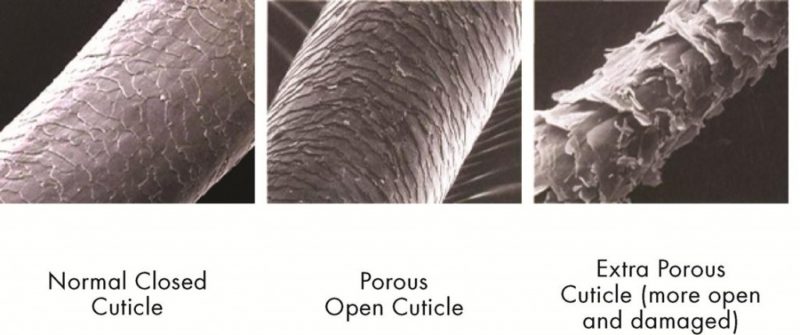 Breakage 101 - Causes & Solutions for Breakage in Curls - Gena Marie